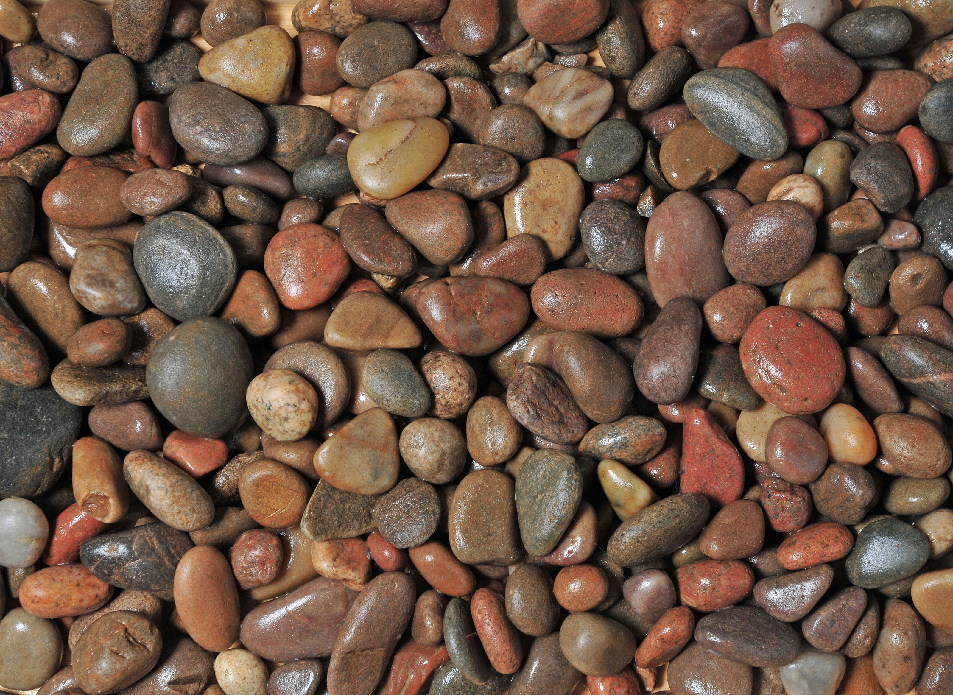 MEDIUM BAG 40-20MM SCOTCH PEBBLES